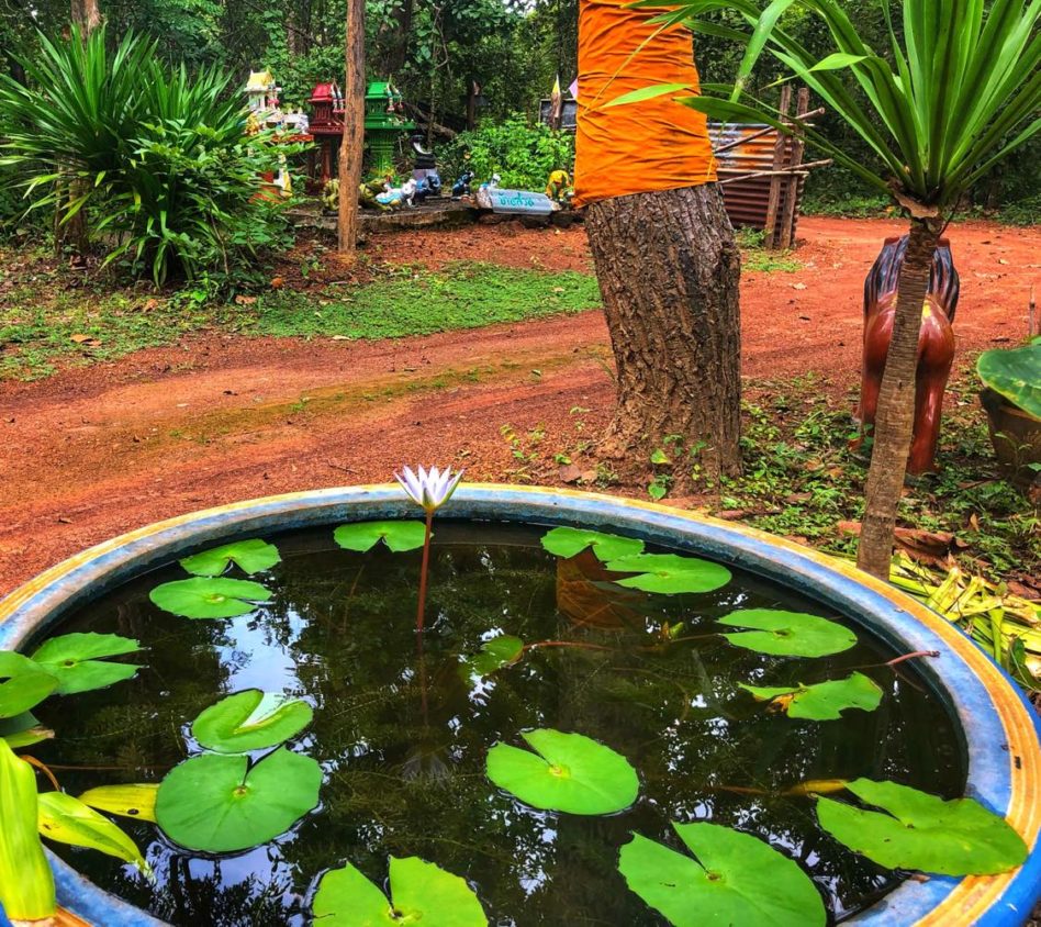 The Soulless Garden House of Sakon Nakhon