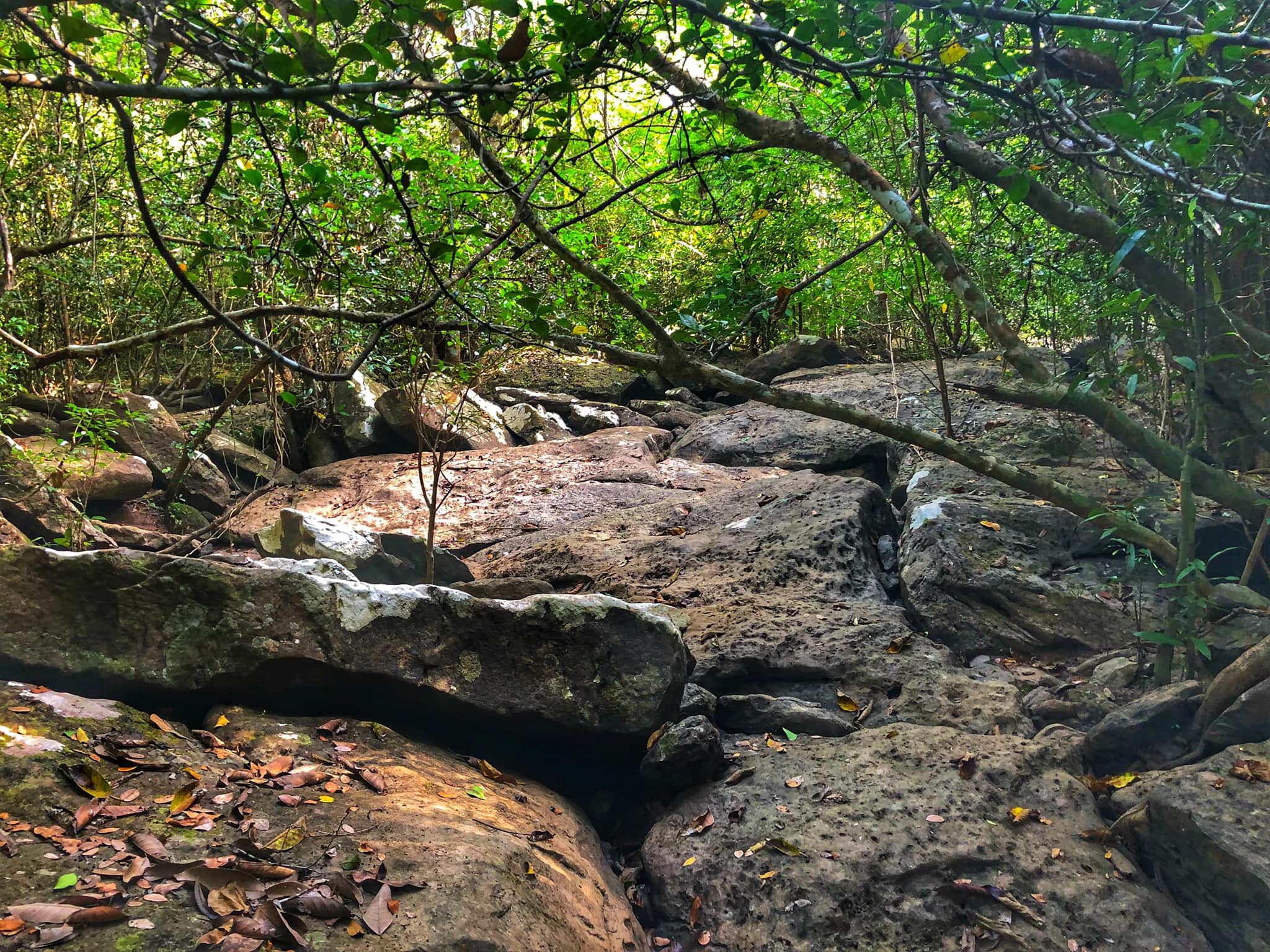 Ancient Khmer Stone Weir | Phu Pek | Sakon Nakhon