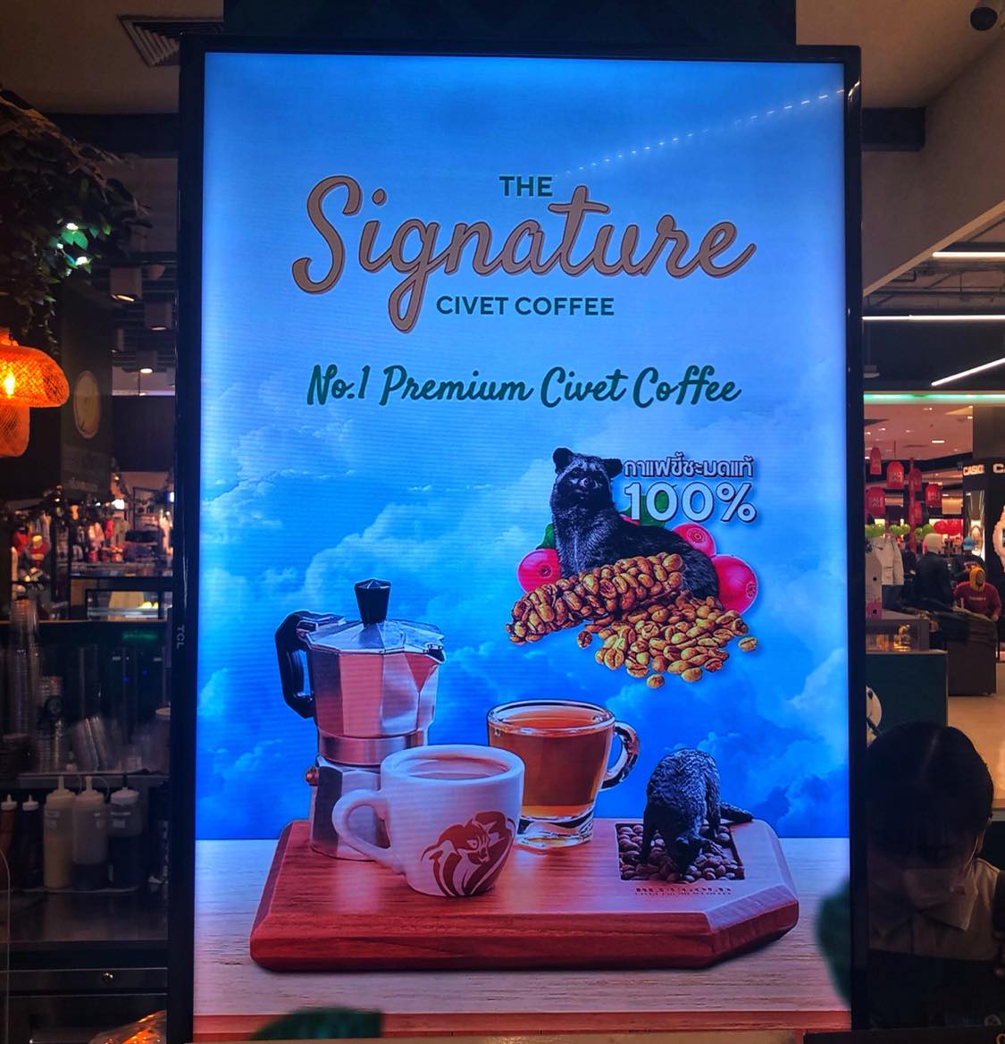 Is Civet Coffee the Best Coffee in Thailand?