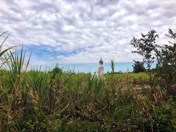 The Buddha & The Thai Rice Goddess Ceremony | Mae Phosop