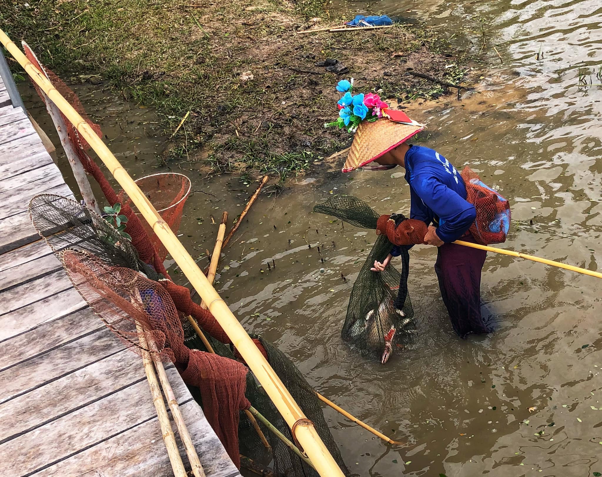 Traditional Thai Fishing in the Village | Swing & Yor Nets