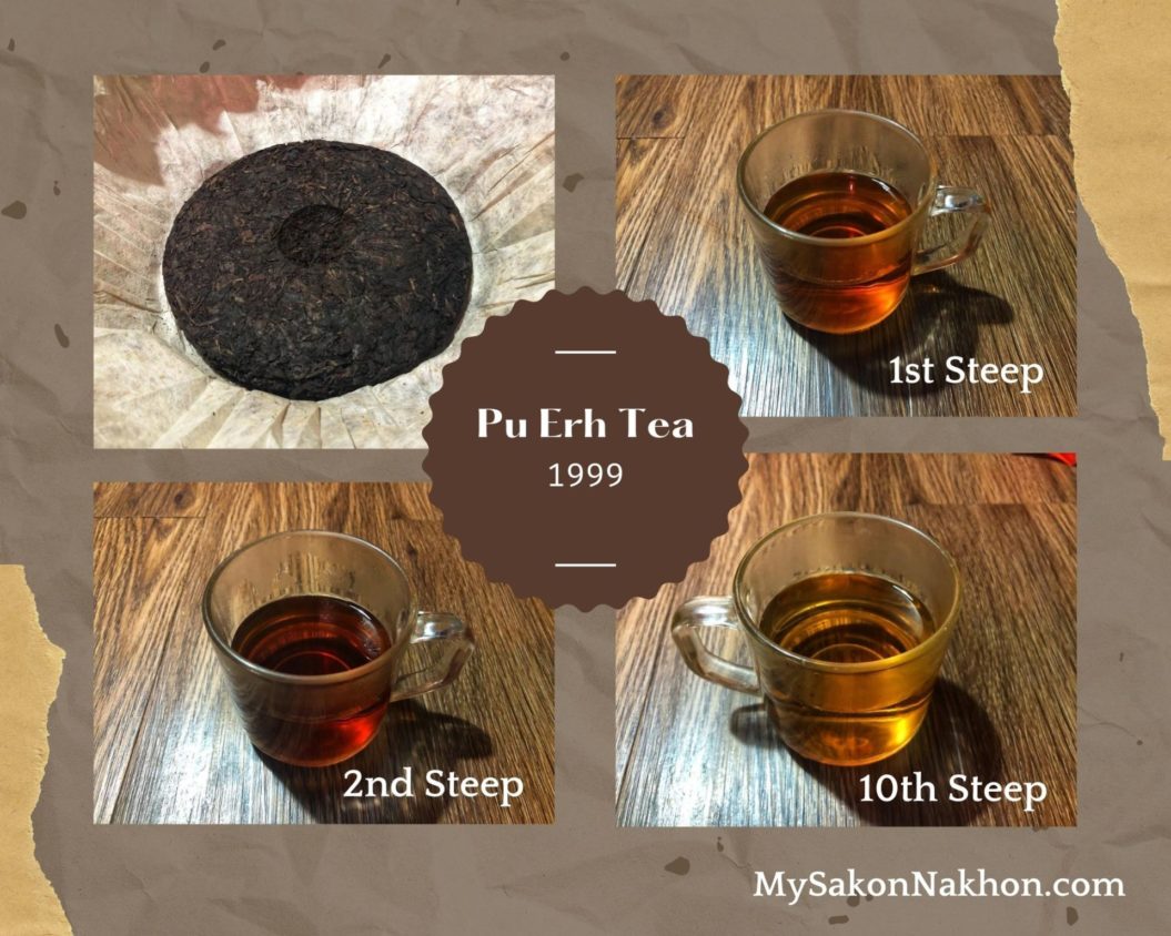 Drinking 24 Year Old Pu-erh Tea in Thailand