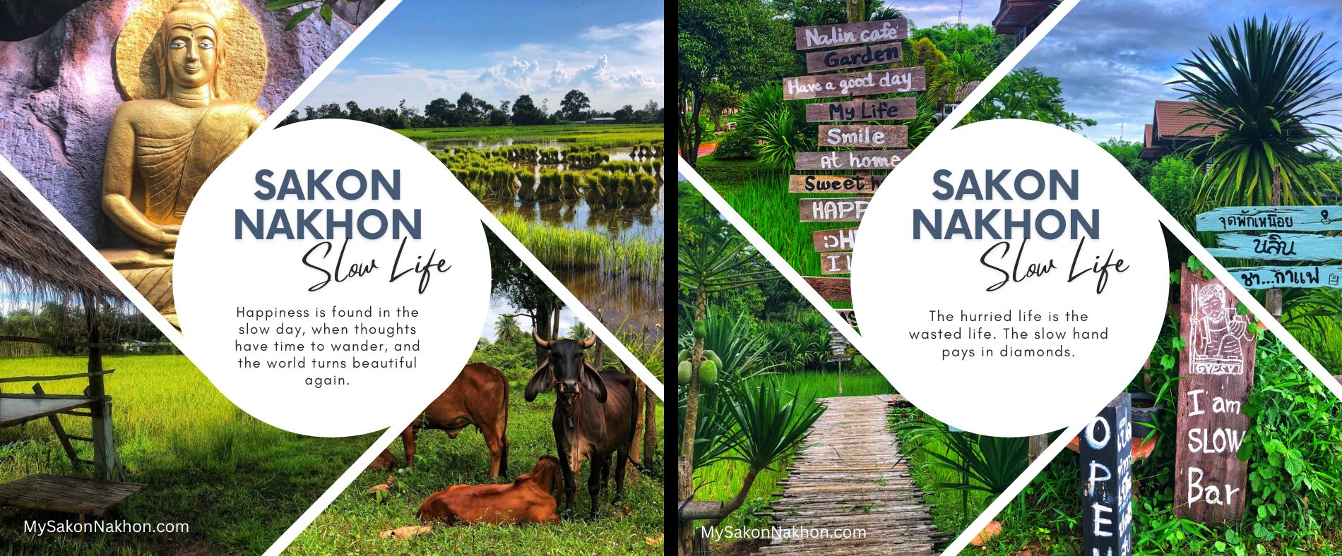 Sakon Nakhon: Questions & Answers | Thailand