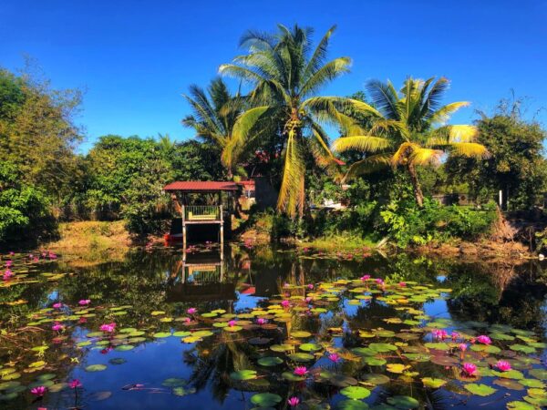 Thai Poetry in English: Book of Poems About Thailand