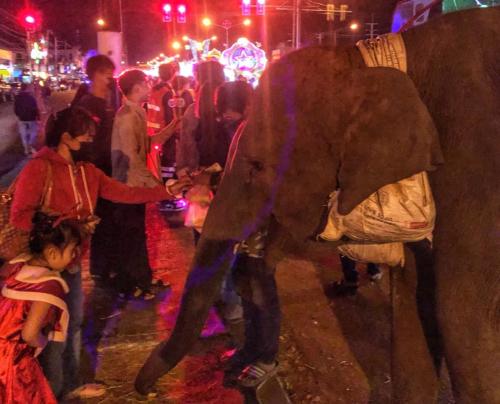 Thailand Christmas Star Parade Festival | Ban Tha Rae