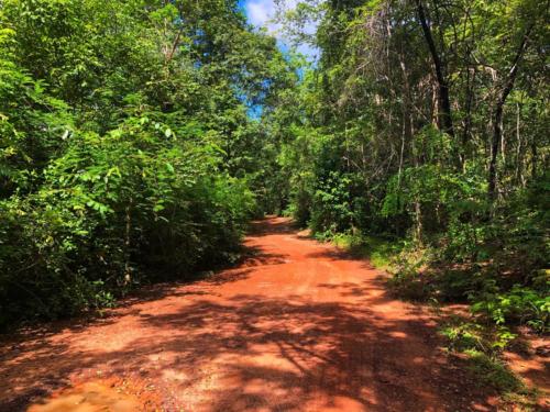 Preecha Suksan Waterfalls | Sakon Nakhon, Thailand